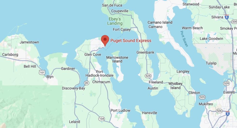 Puget Sound Express | Guaranteed Family-run Whale Watching